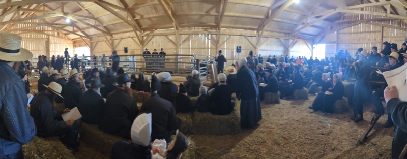 The Leatherstocking Cattle Exchange: The inaugural public auction ...